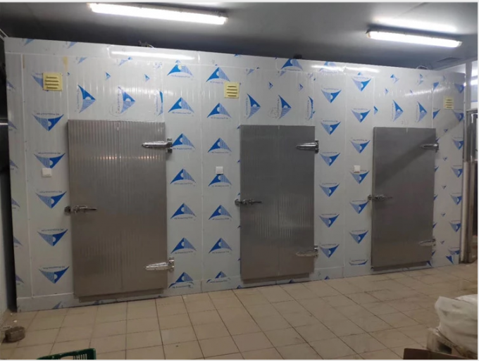 Commercial Meat Walk In Freezer Cold Storage Room