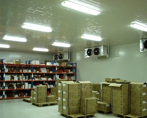 Commercial Meat Walk In Freezer Cold Storage Room