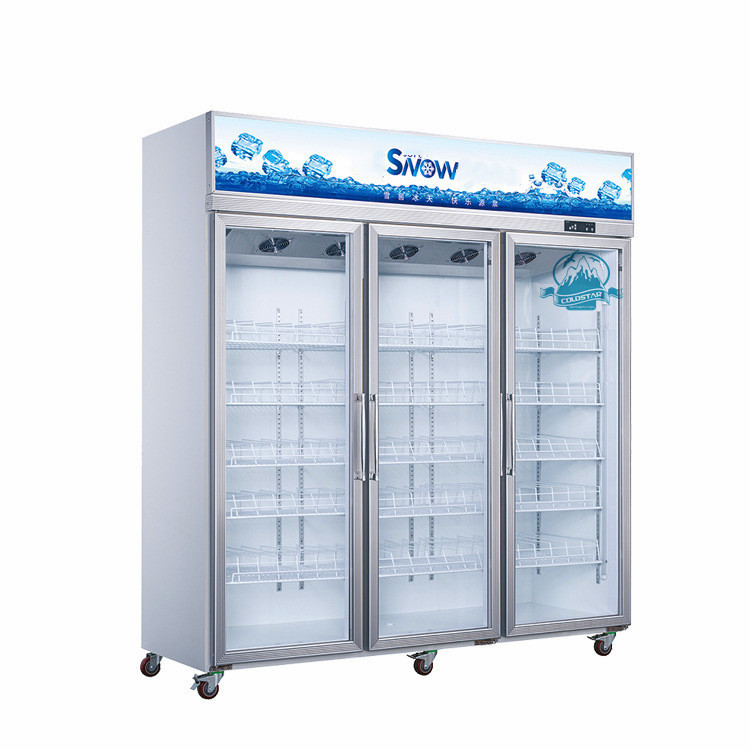 Display pepsi freezer 500l double glass doors cold showcase display ...