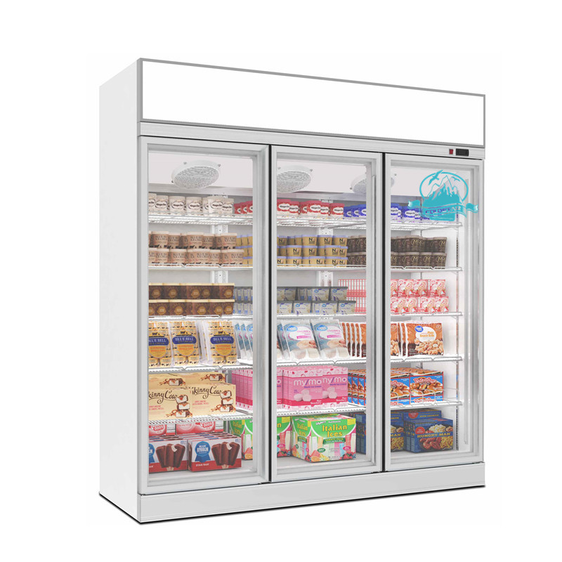 Frozen Food Freezer Display Case Vertical Commercial Glass Door Fridge ...